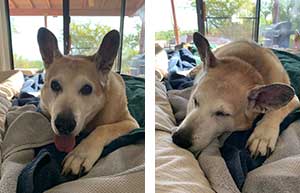 [Emphasis Mine] – By Jim Burroway